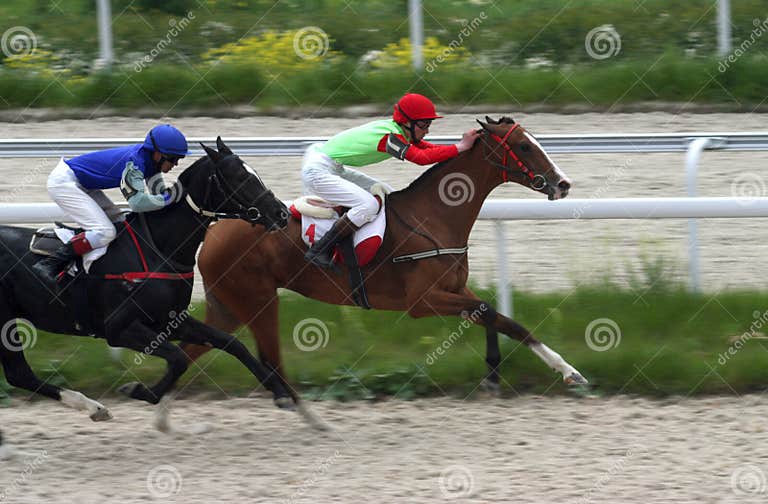 Two horses racing stock photo. Image of competition, leading - 14477590