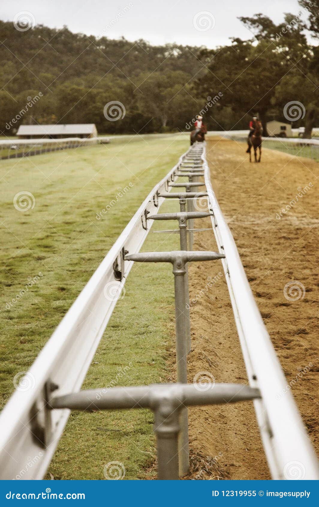 Two Horses Walking on the Race Track Stock Image - Image of riding ...