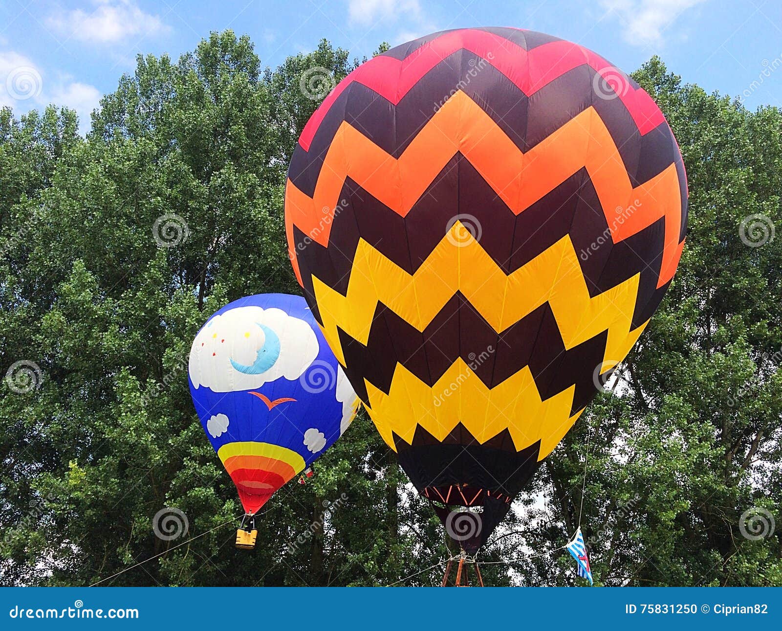 Two Hot Air Balloons in Front of Trees in the Day Light Stock Photo ...