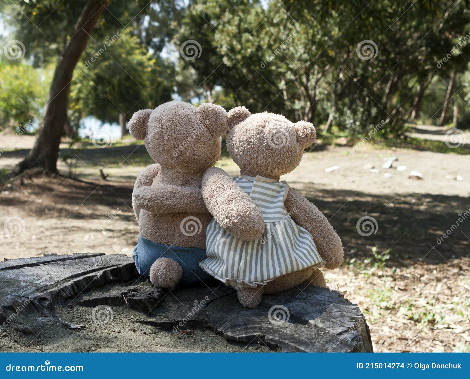 Two Teddy Bears on Tree Stump Stock Photo - Image of teddy, bears ...