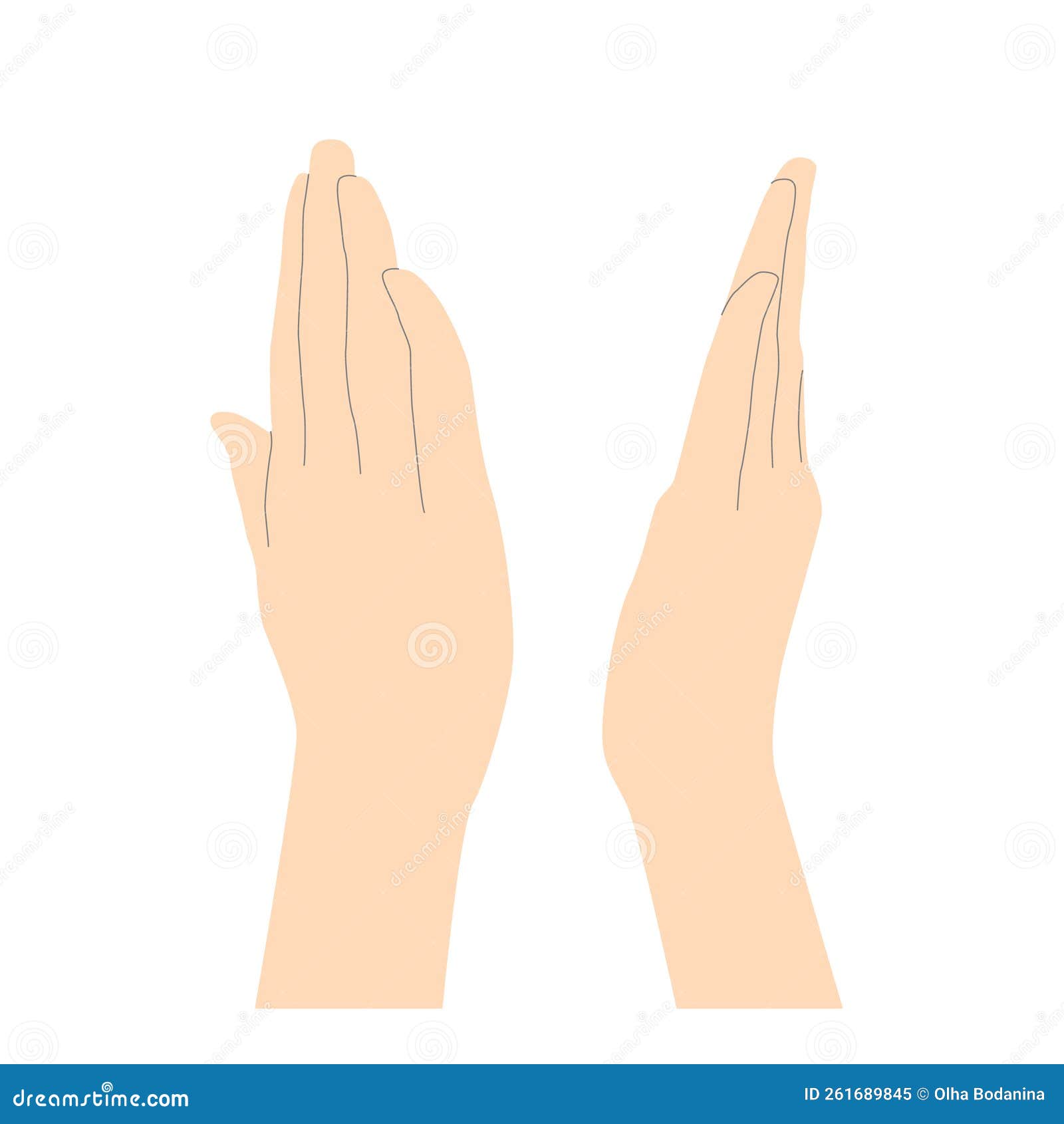 Two Human Hands Palms Behind Folded Fingers Beige with Lines To ...