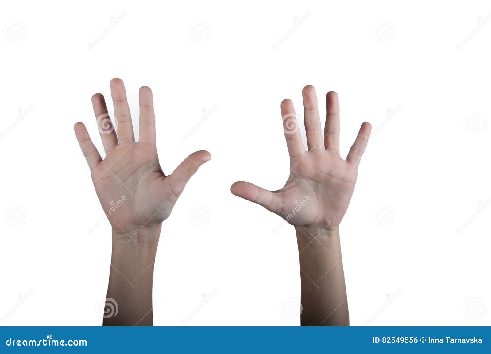 Two Human Hands Showing Palms Up. Isolated Stock Photo - Image of five ...