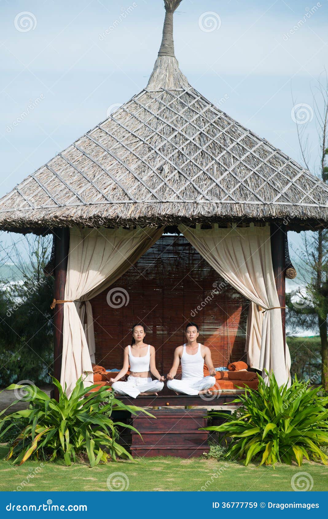 Two in the hut stock image. Image of natural, male, relax - 36777759