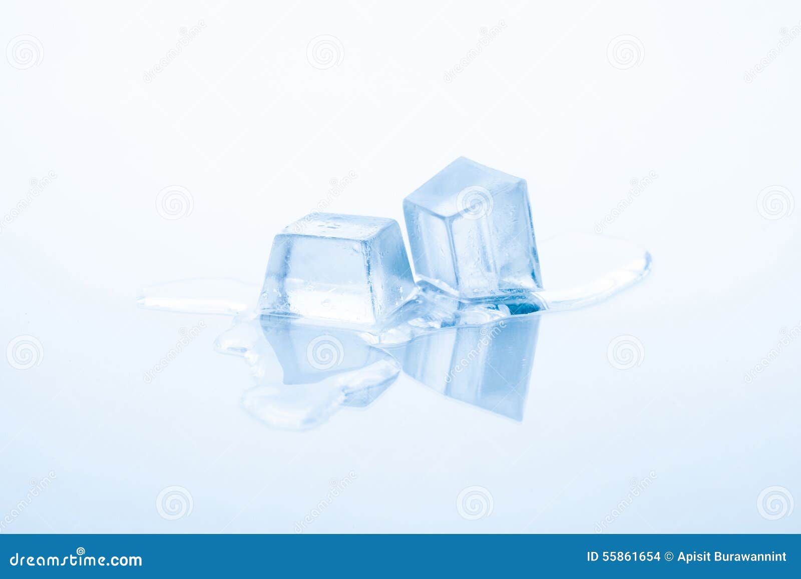 Two ice cubes are melting stock photo. Image of frost - 55861654
