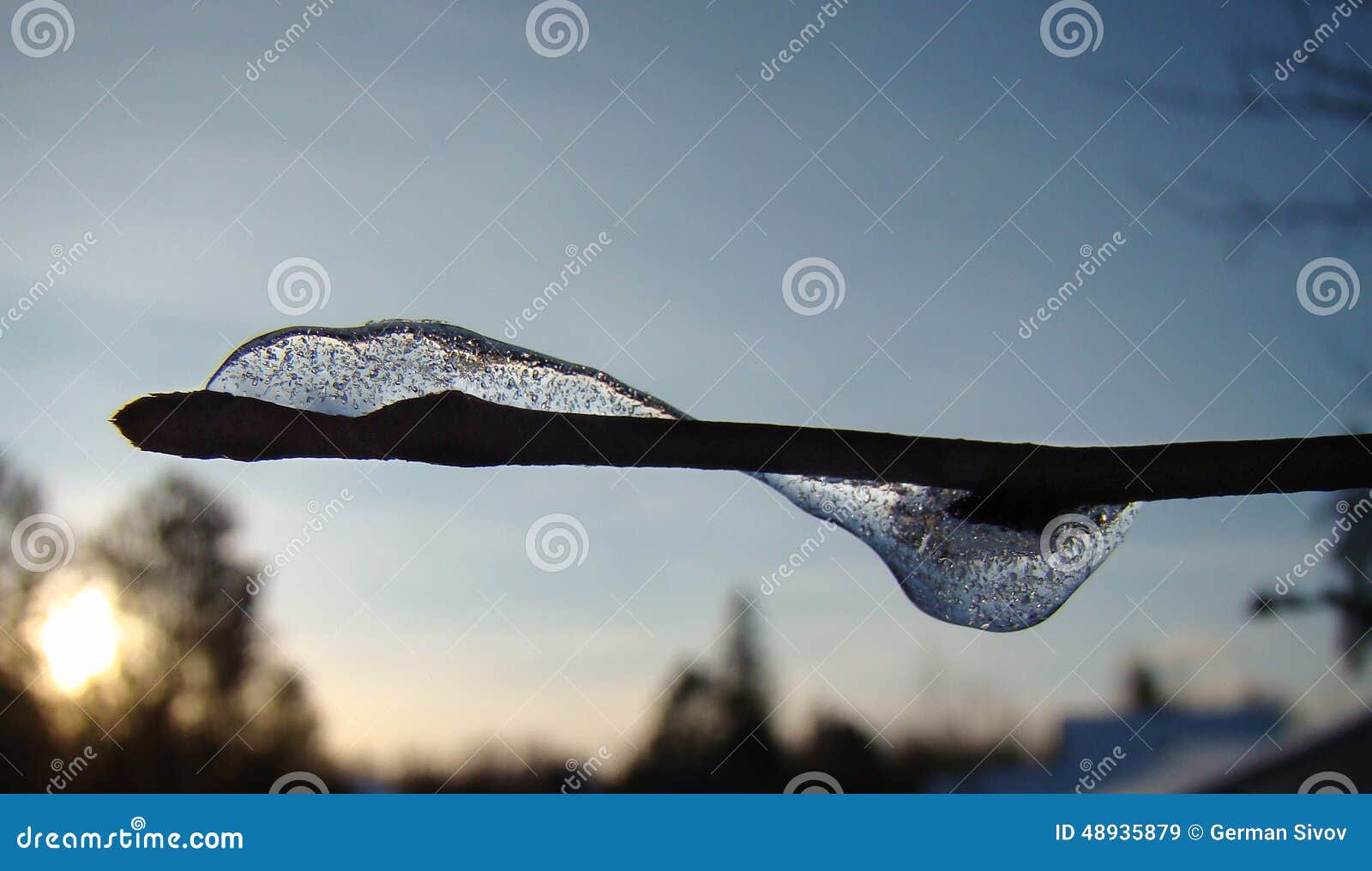 Two icicles on a branch stock image. Image of crystal - 48935879