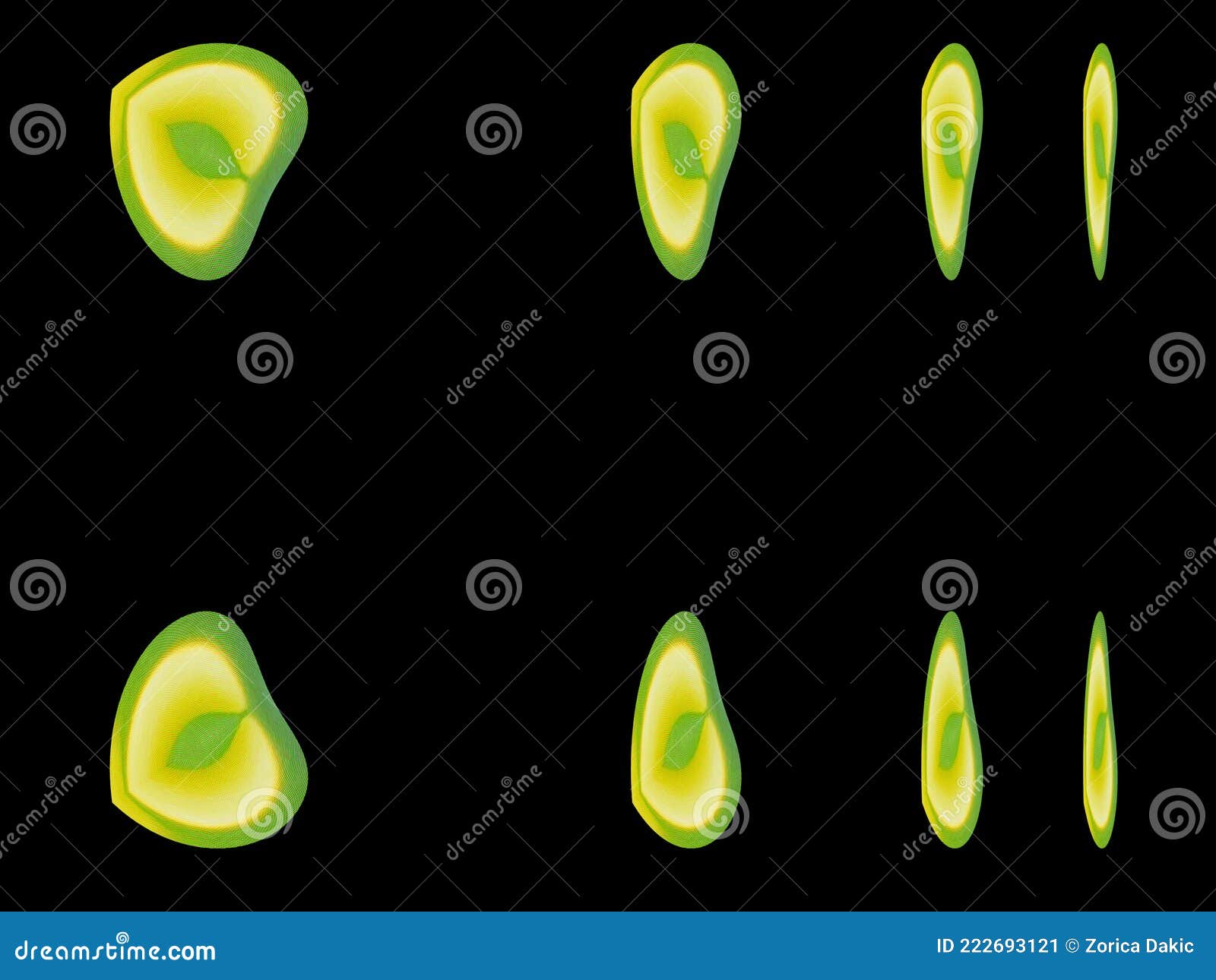 Two Identical Rows of Yellow-green Embryos Growing on a Black ...