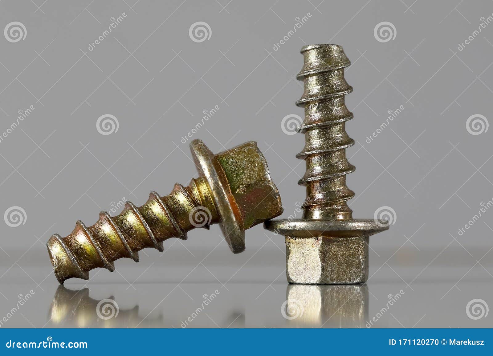 Two Identical Special Screws Stock Photo - Image of element, bolt ...