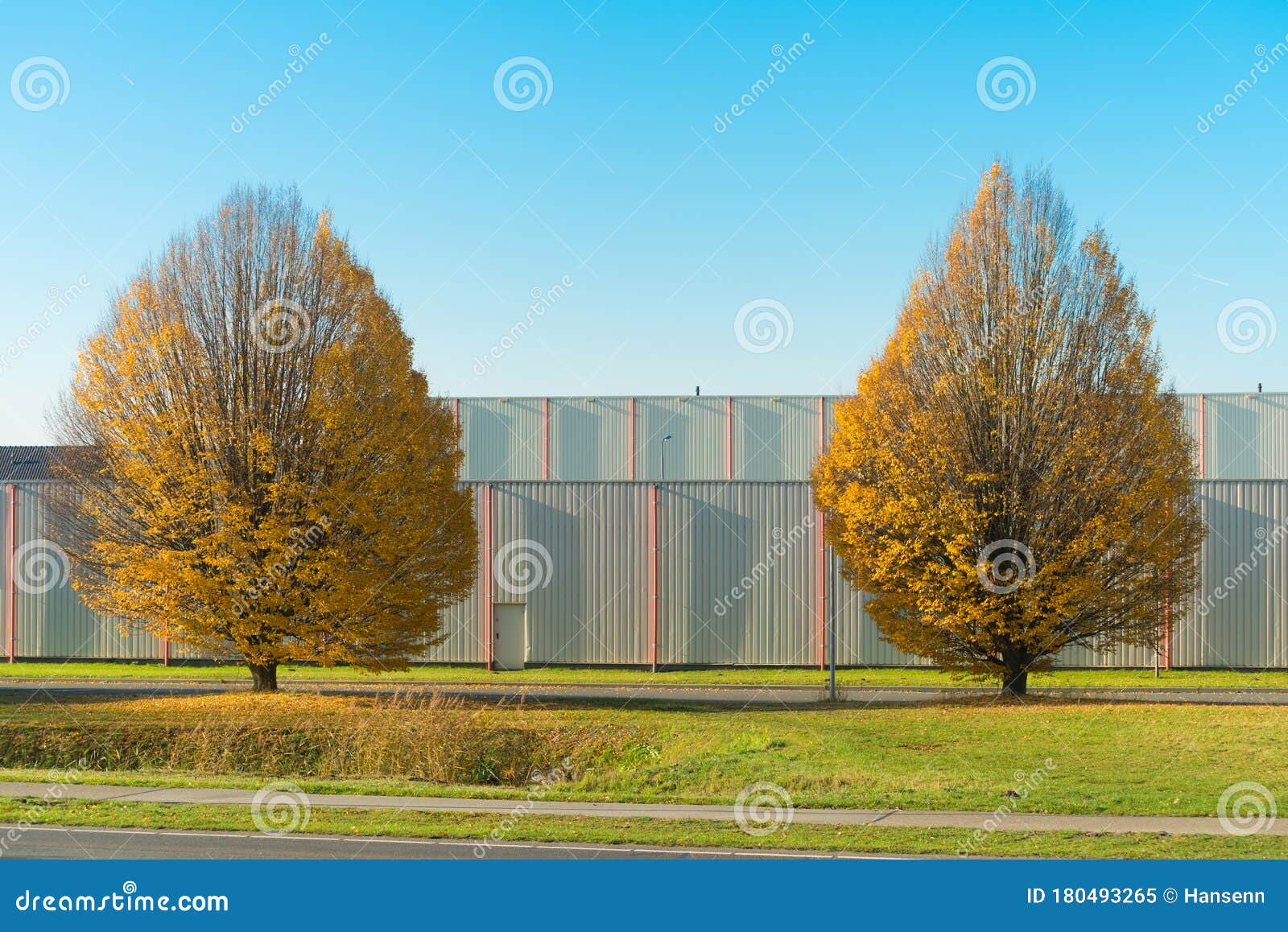 Two identical trees stock image. Image of fall, beautiful - 180493265