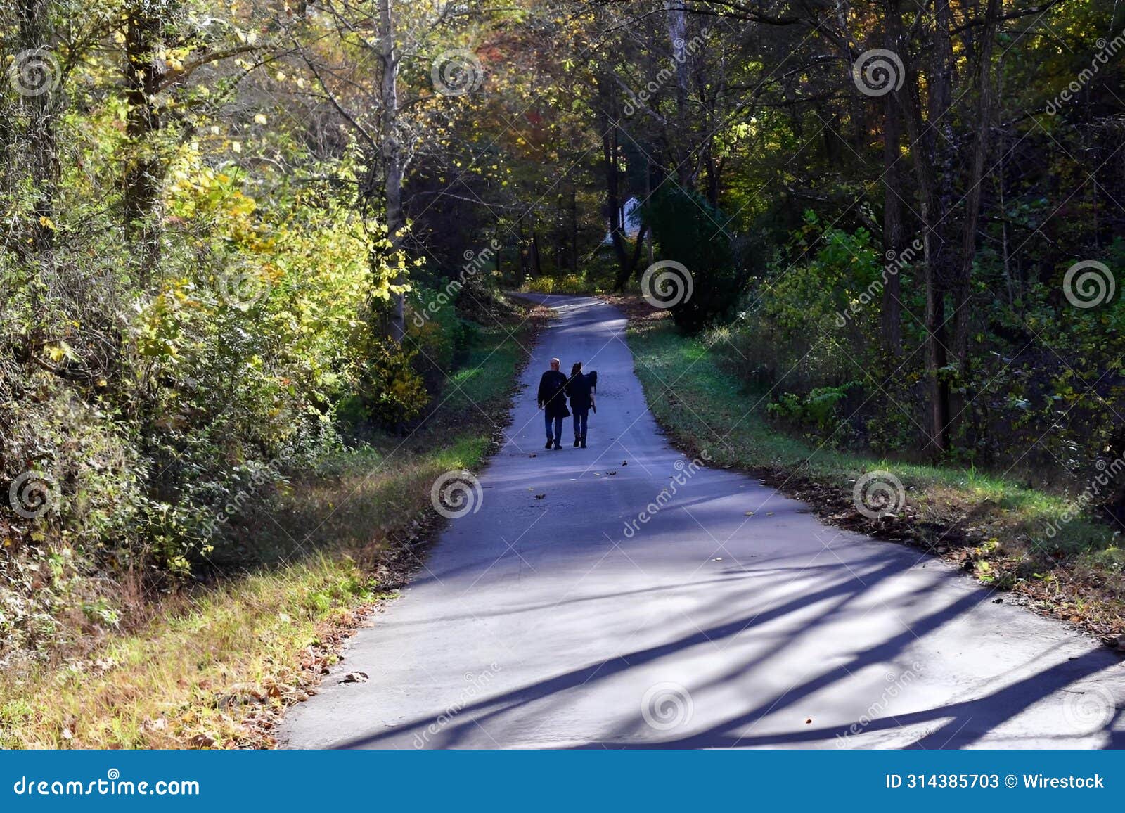 Two People Walking Down a Street Lined with Trees on Either Side Stock ...