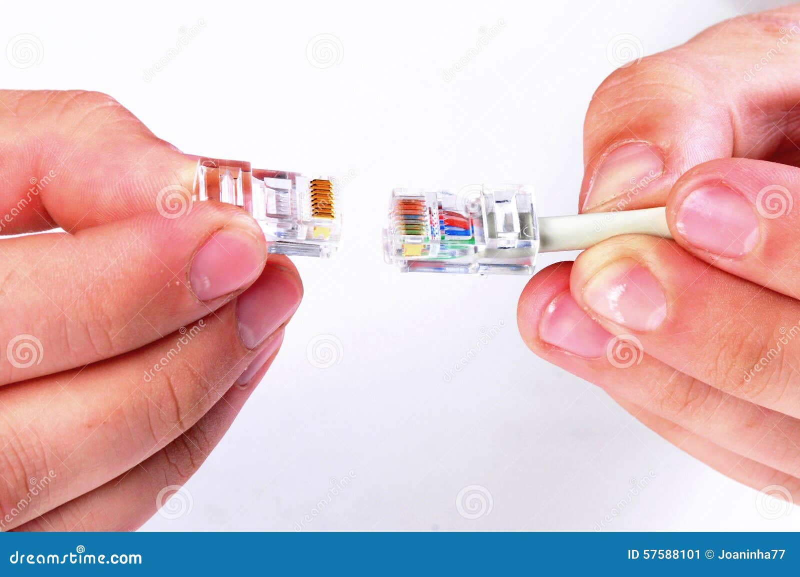 Two Internet Cables Holding on Hand.Stages of the Process Stock Image ...