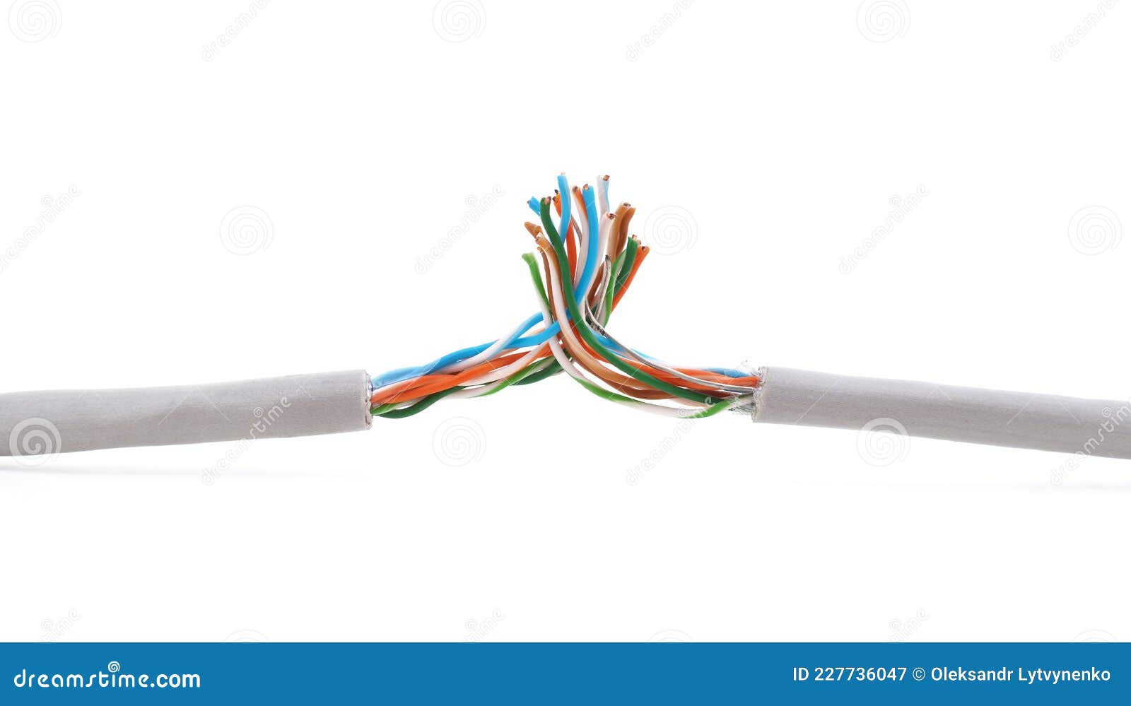 Two internet cables stock image. Image of plus, horizontal - 227736047
