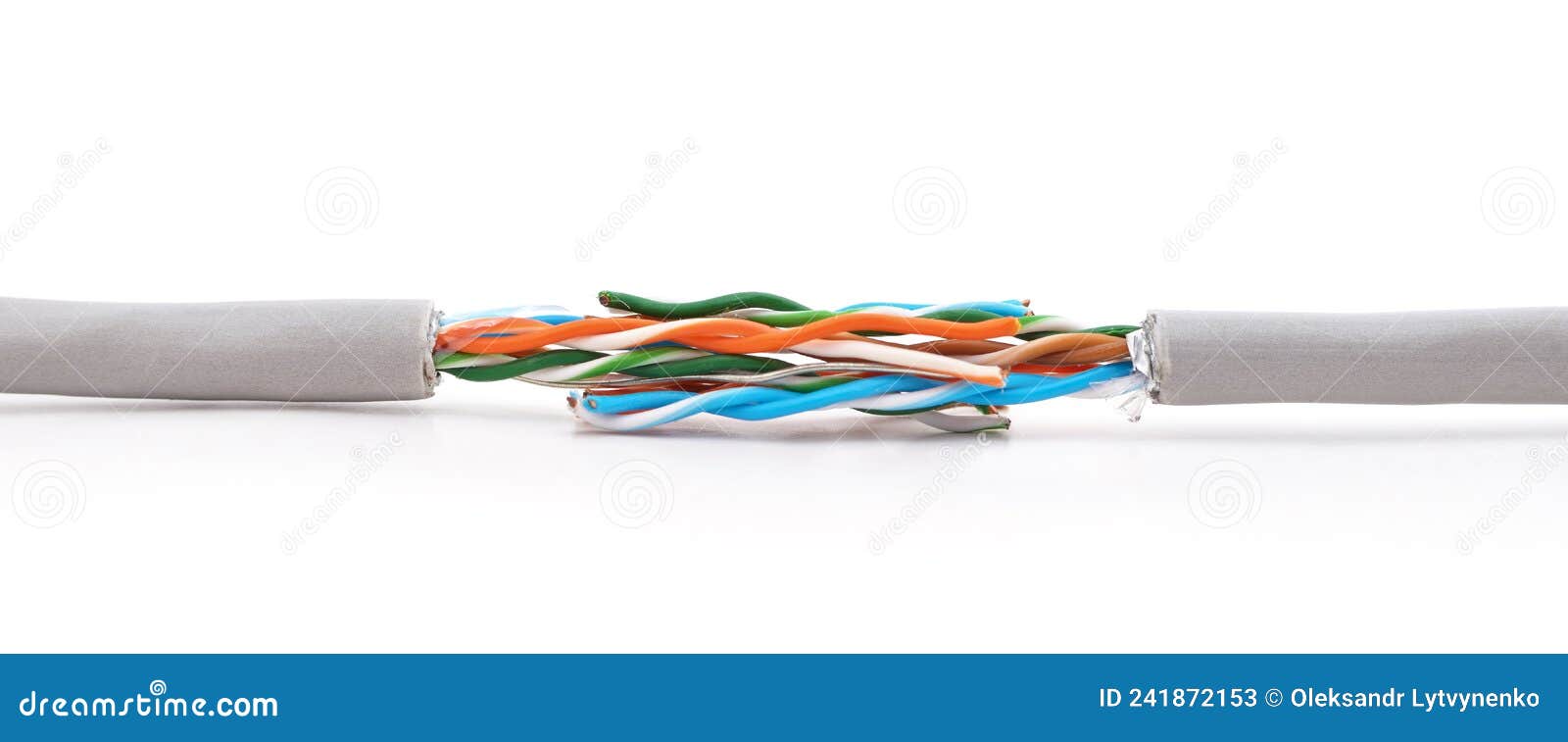 Two internet cables stock image. Image of isolated, macro - 241872153