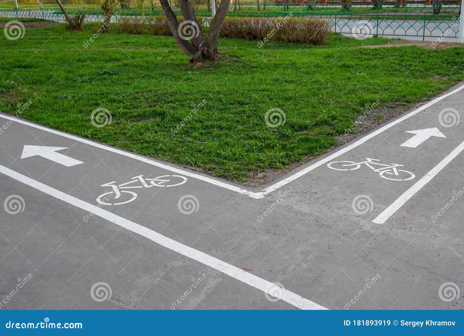 Two Intersecting Red Bicycle Paths Surrounded By Trees In The Park ...