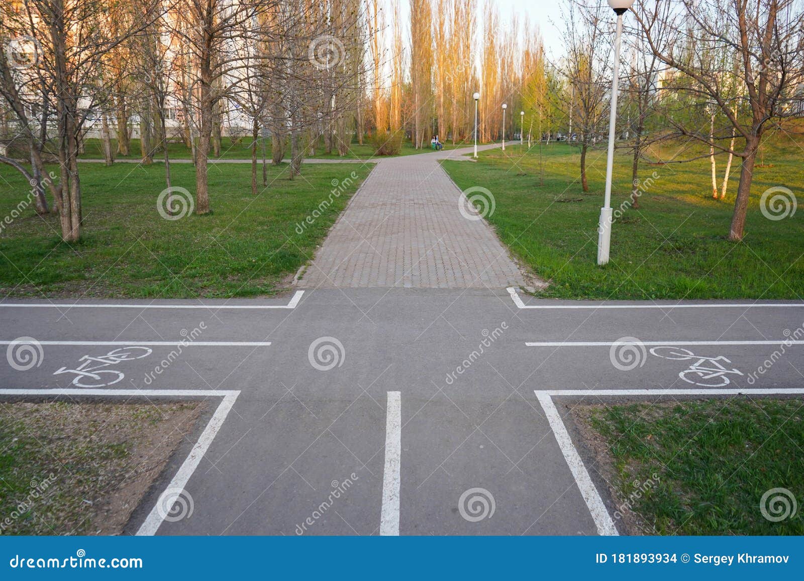 Two Intersecting Red Bicycle Paths Surrounded By Trees In The Park ...
