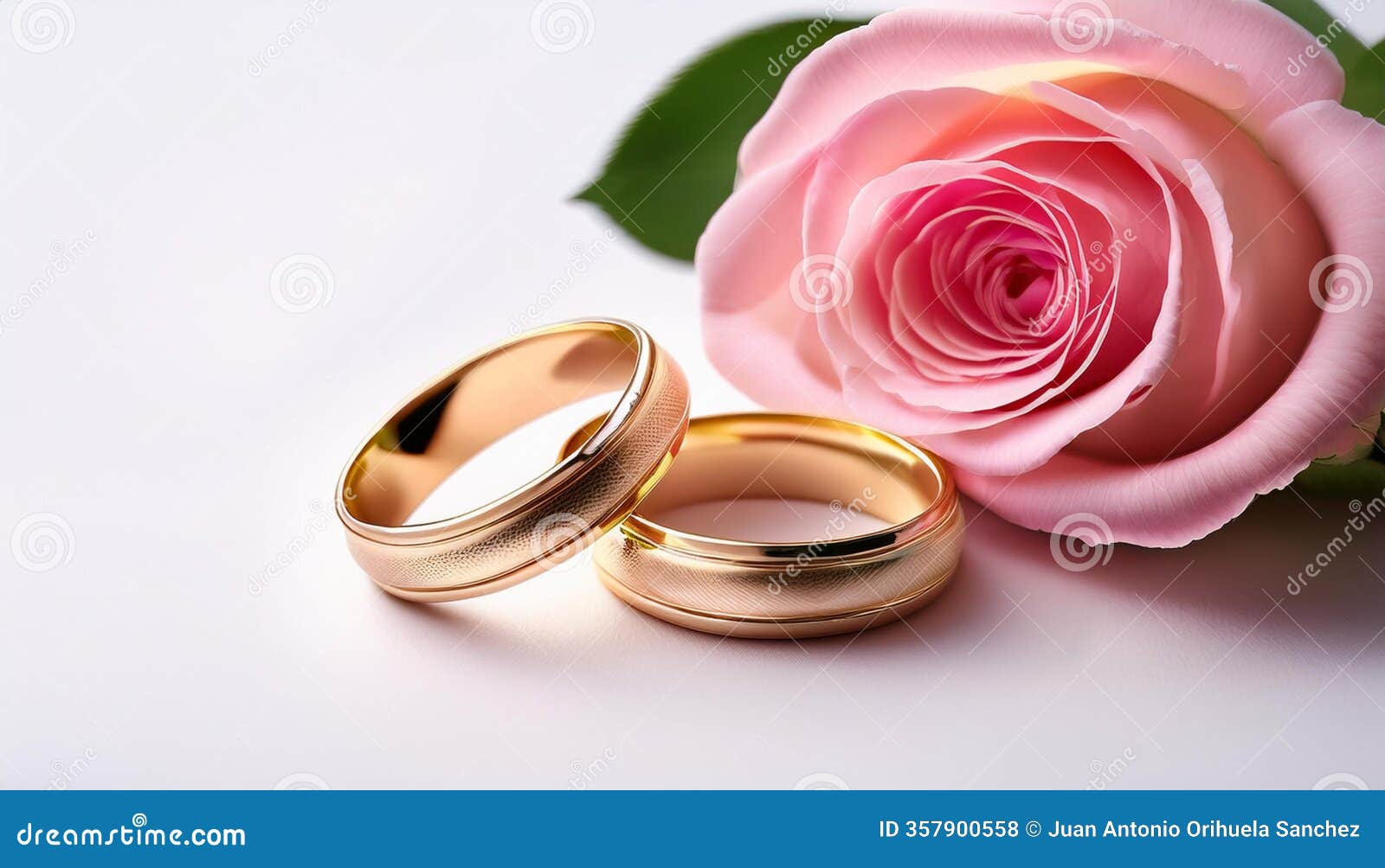 Two Intertwined Gold Wedding Rings Placed beside a Delicate Pink Rose ...