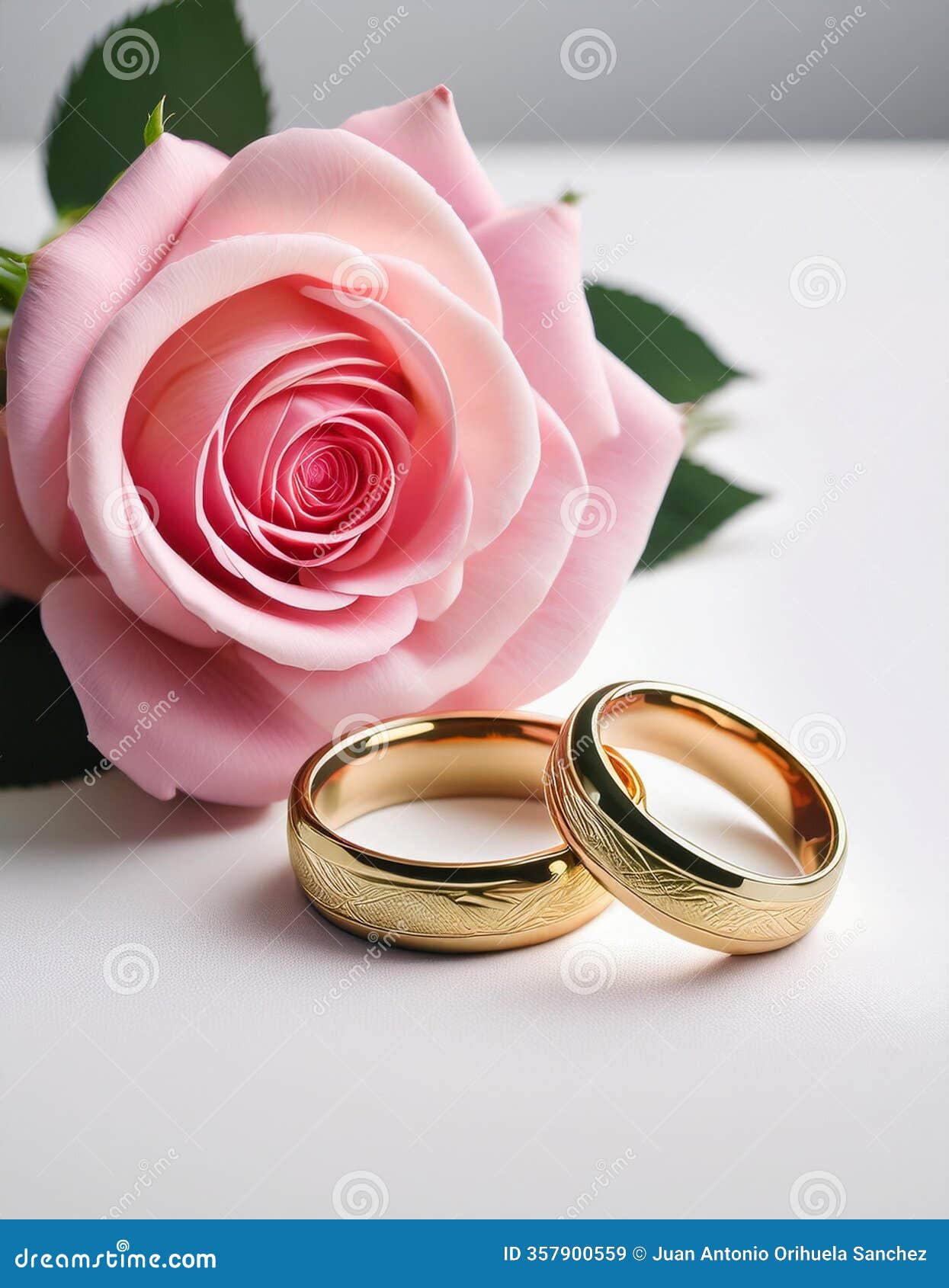 Two Intertwined Gold Wedding Rings Placed beside a Delicate Pink Rose ...