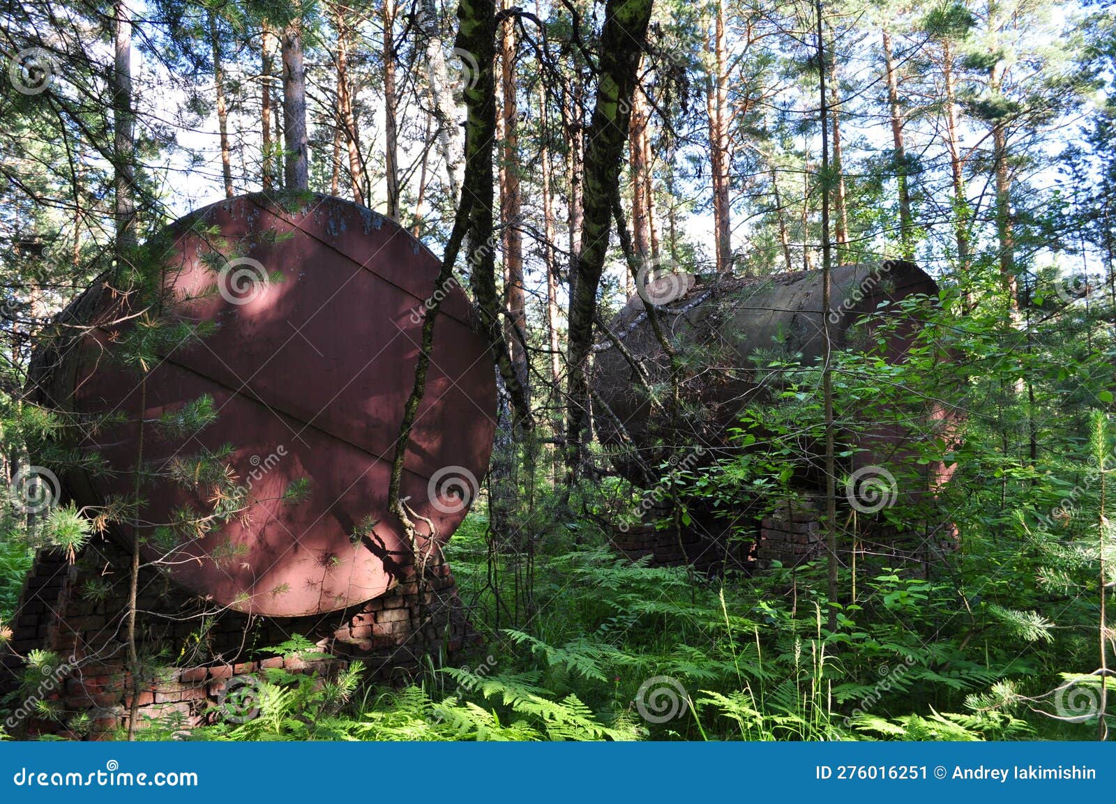 Tanks In Forest Royalty-Free Stock Photography | CartoonDealer.com ...