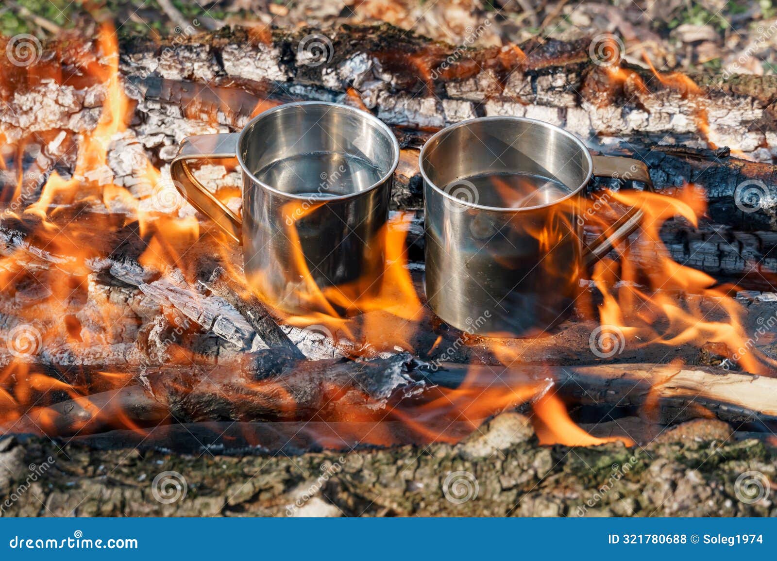 Two Iron Mugs with Boiling Water for Tea Over a Campfire, Cooking while ...