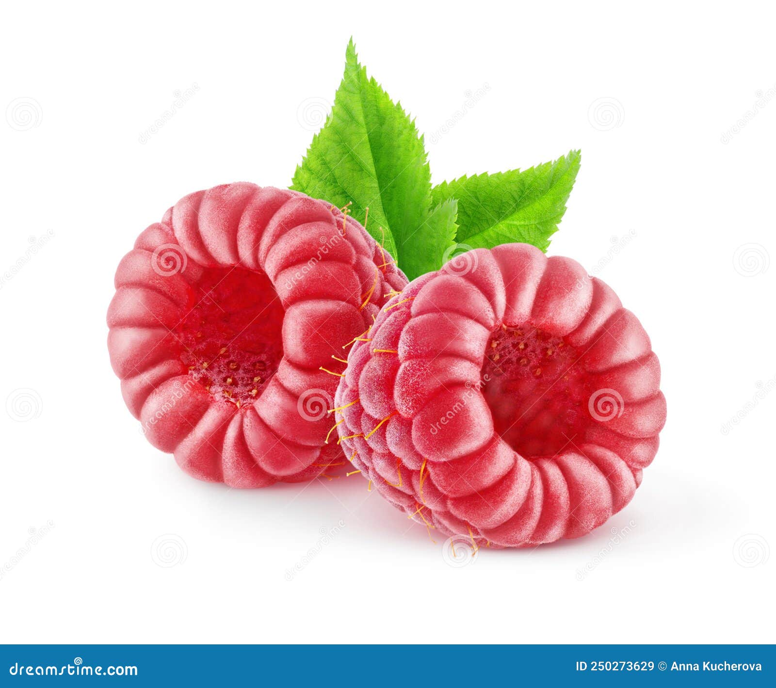 Two Isolated Raspberry Fruits with Leaf Stock Image - Image of white ...