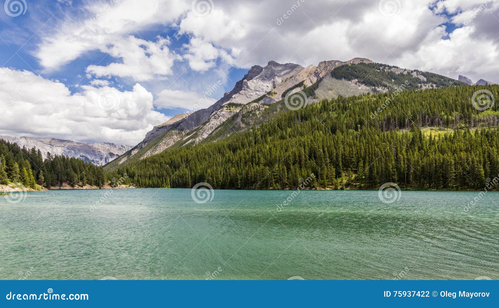 Two Jack in Banff National Park, Alberta, Canada Stock Photo - Image of ...