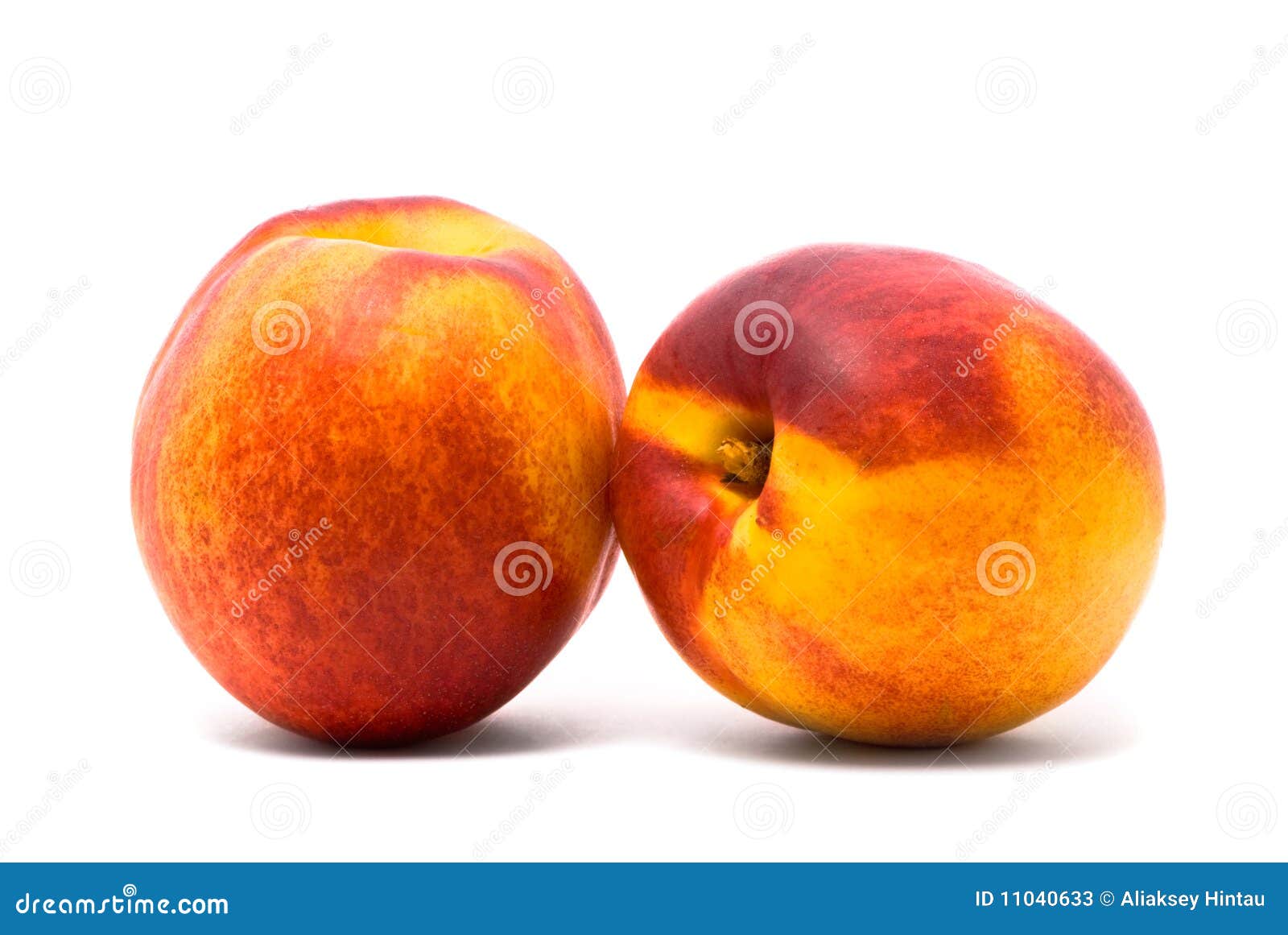 Two juicy nectarines stock image. Image of isolated, nectarine - 11040633