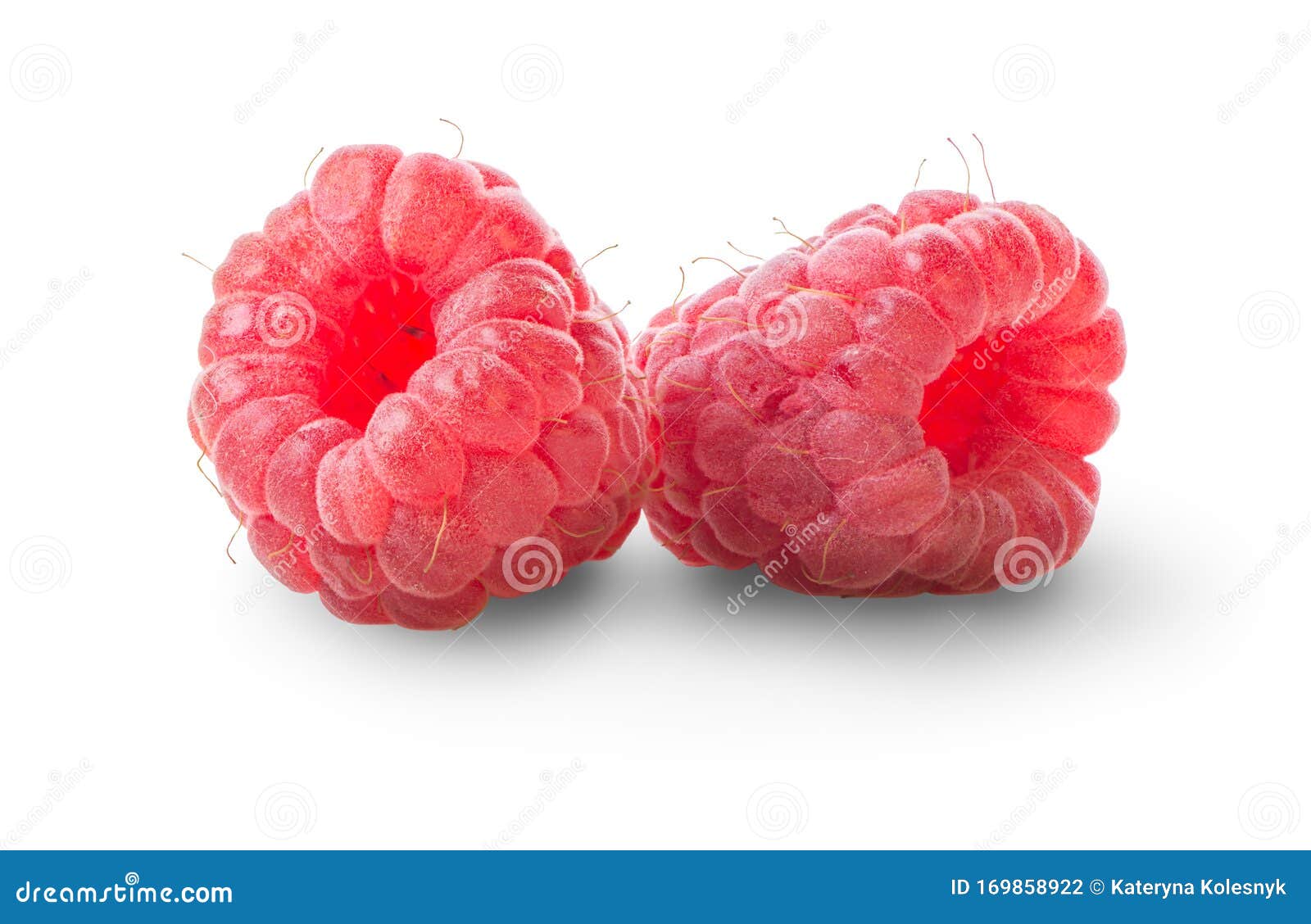 Two juicy raspberries stock photo. Image of fruity, plant - 169858922