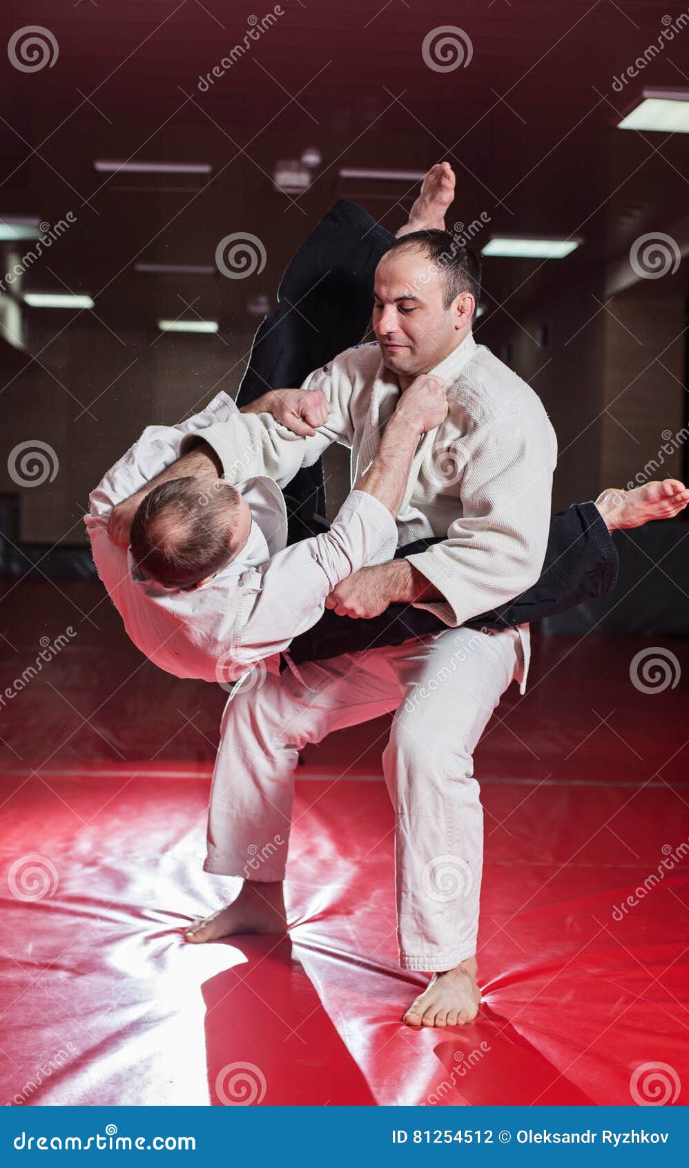 Two Karate Fighters Showing Technical Skill while Practicing Stock ...