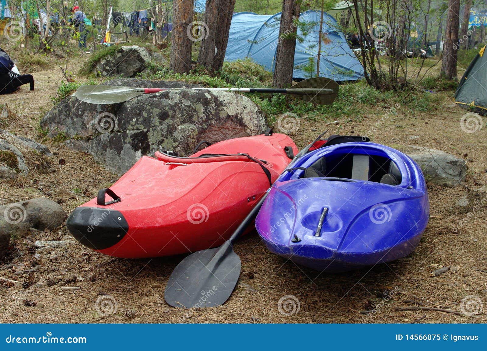 Two Kayaks Near Forest Camp Stock Image - Image of leisure, sport: 14566075