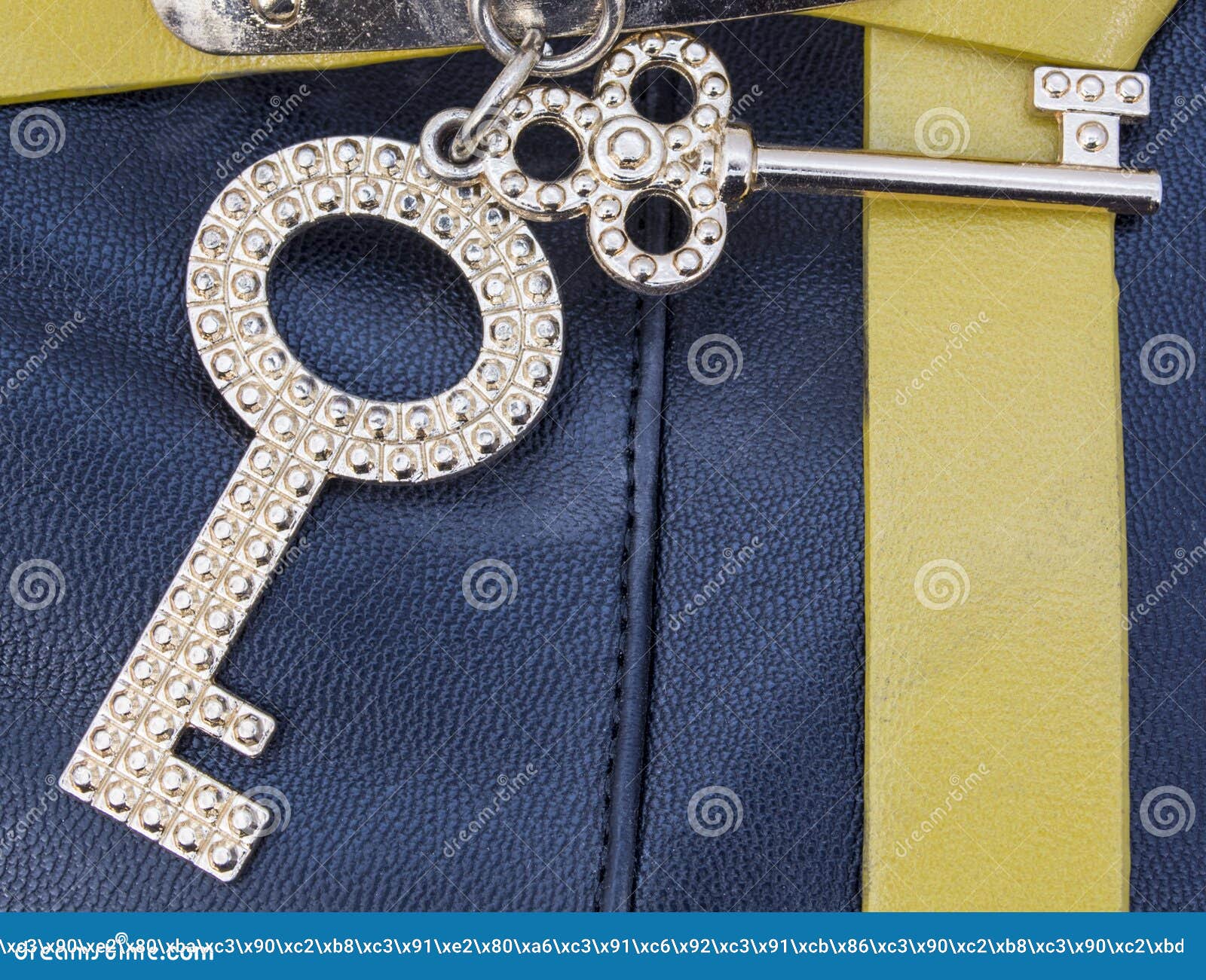 Two key stock image. Image of handbags, close, yellow - 47147485