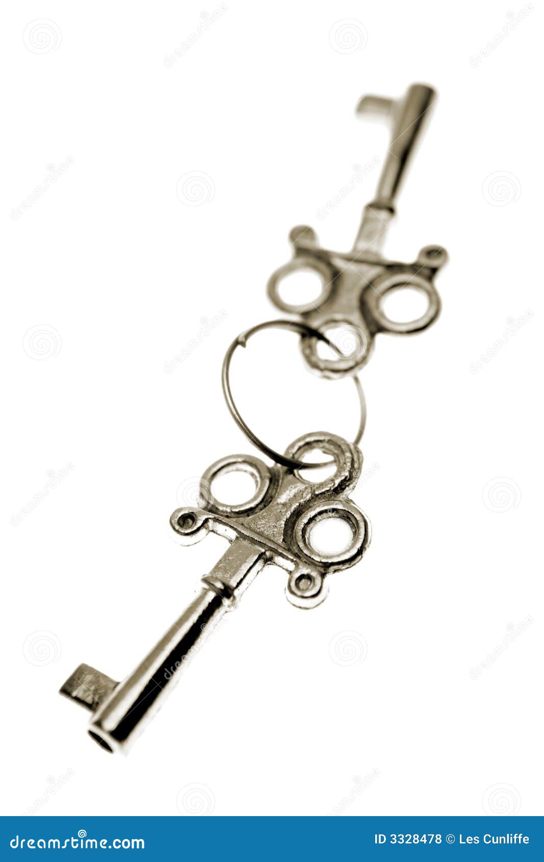 Two keys stock photo. Image of home, distrust, ring, room - 3328478