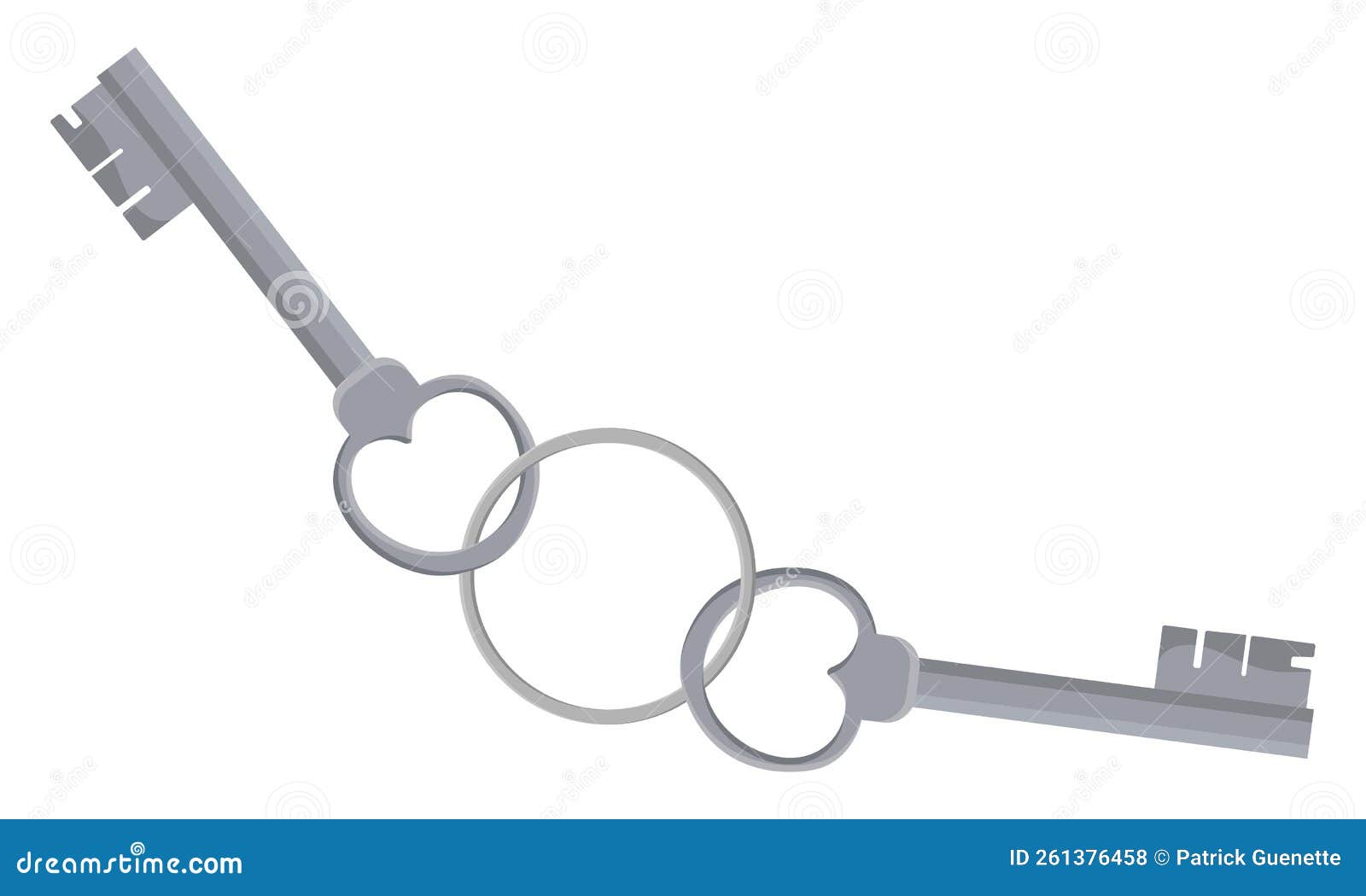 Two keys, icon stock vector. Illustration of home, security - 261376458