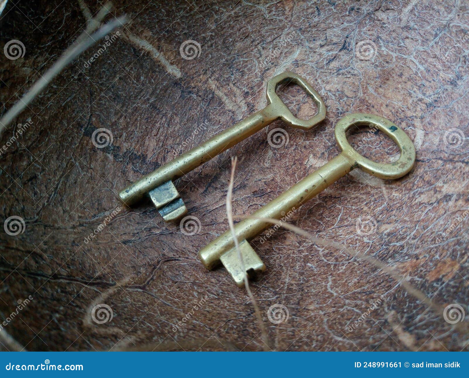 Two Keys Inside a Coconut Shell Stock Image - Image of shell, keys ...