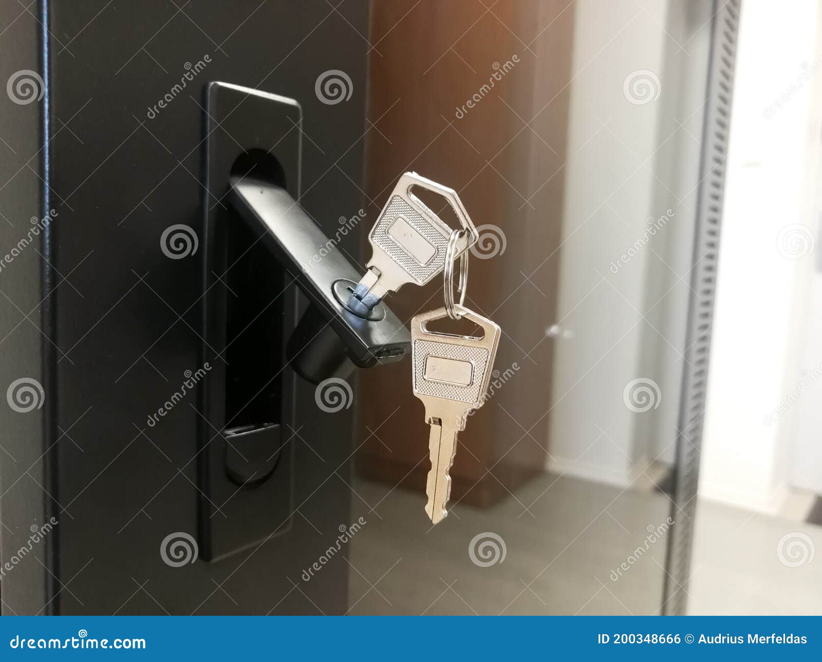 Two Keys in the Modern Lock Stock Photo - Image of access, metal: 200348666