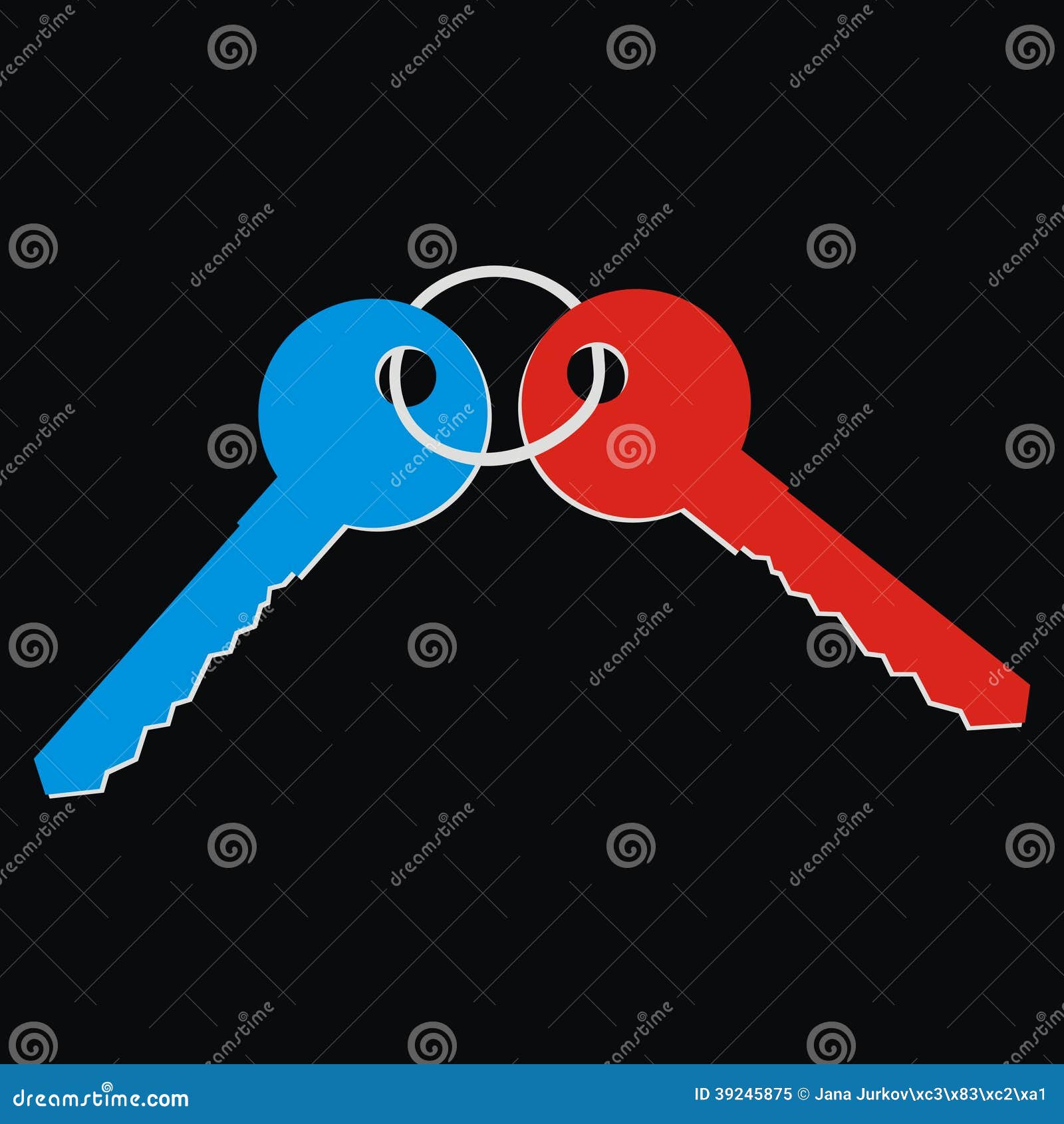 Two Keys, Color Picture on Black Background, Vector Symbol Stock Vector ...