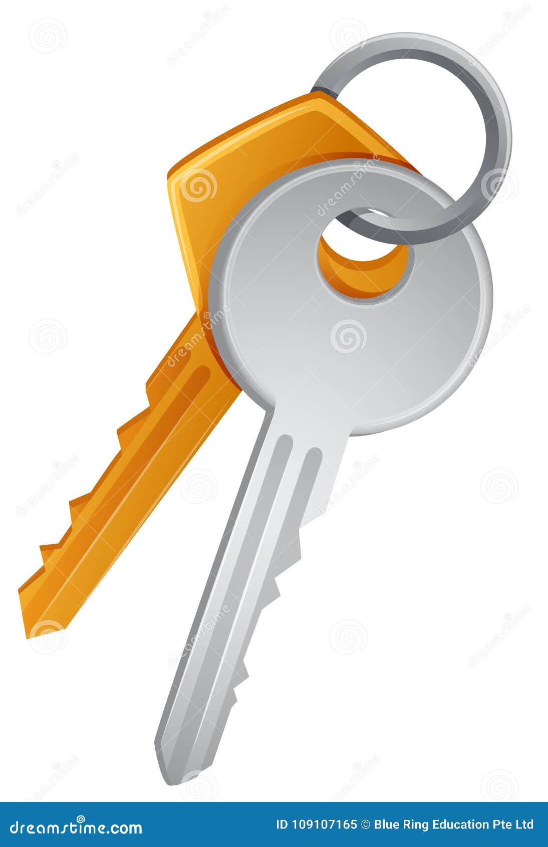 Two keys in the ring stock vector. Illustration of accessory - 109107165