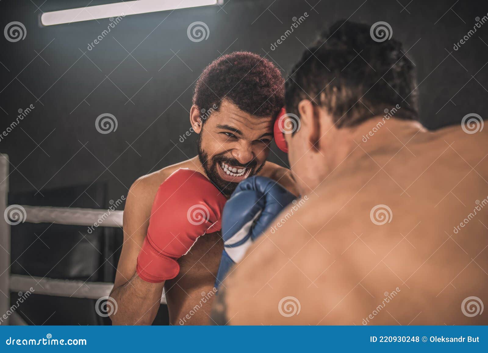 Two Kickboxers Fighting on a Boxing Ring and Looking Aggressive Stock ...