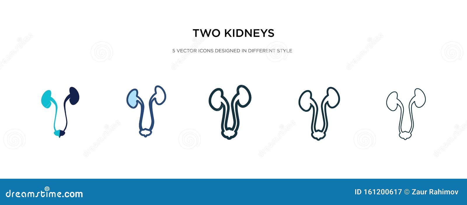 Two Kidneys Icon in Different Style Vector Illustration. Two Colored ...