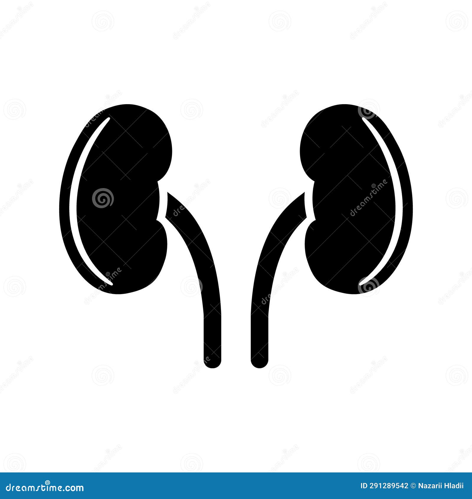 Two Kidneys Icon in Flat Style. Stock Vector - Illustration of human ...