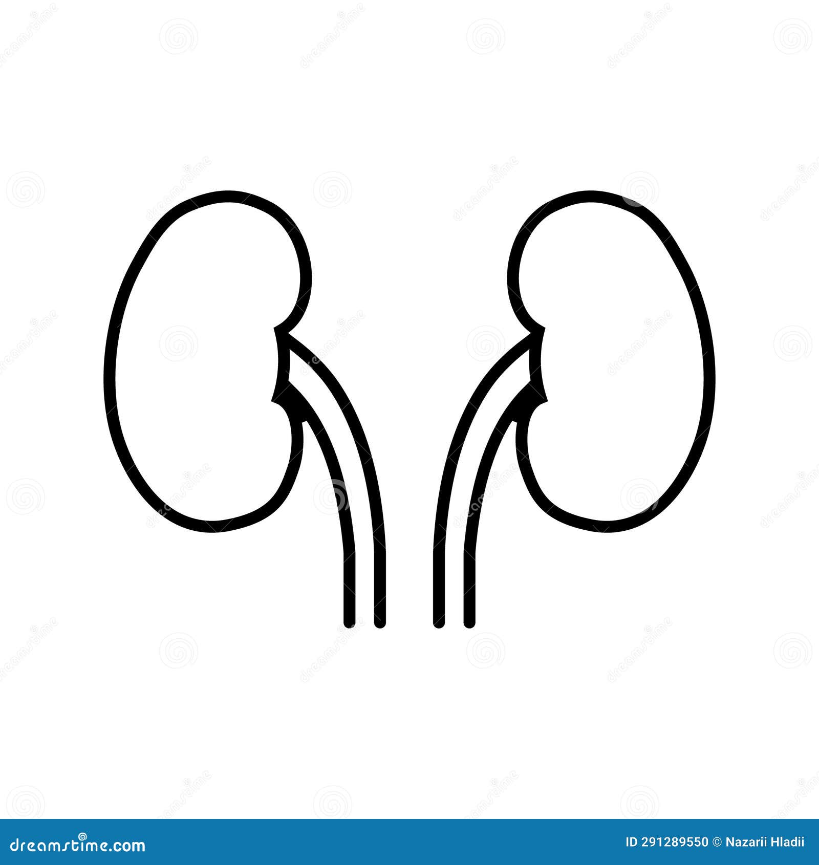 Two Kidneys Icon in Linear Style. Stock Vector - Illustration of ...