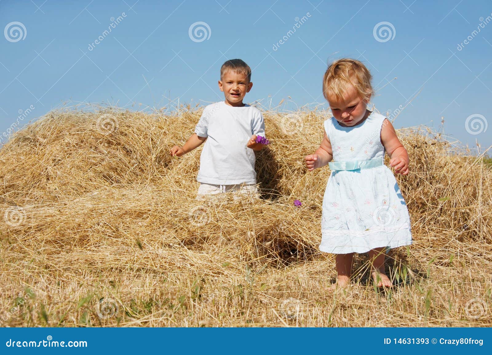Two kids in hay stock image. Image of child, caucasian - 14631393