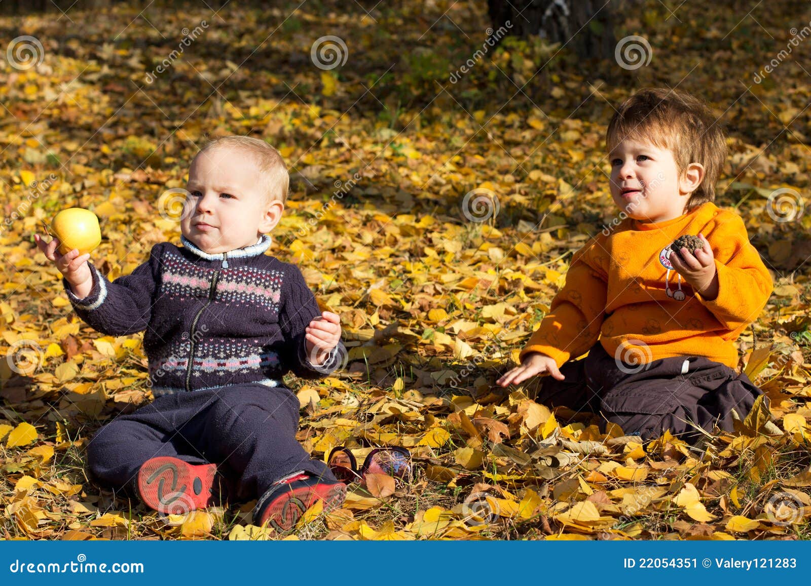 Two kids outdoor stock image. Image of leaves, game, happiness - 22054351