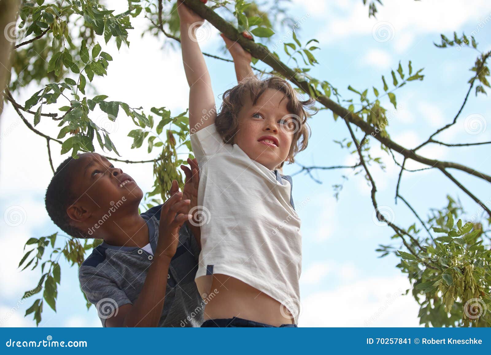 Two kids on a tree stock image. Image of nature, child - 70257841