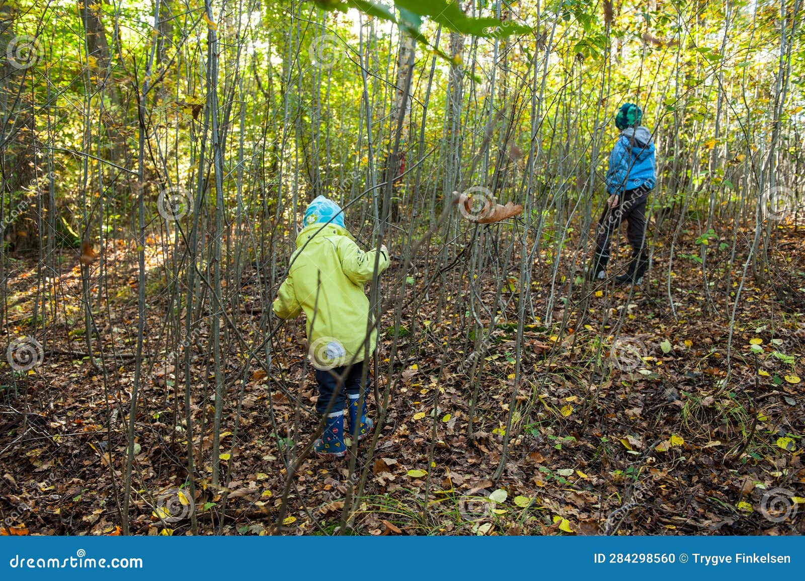 Two Kids Walking Throug a Dense Young Forest.. Stock Photo - Image of ...