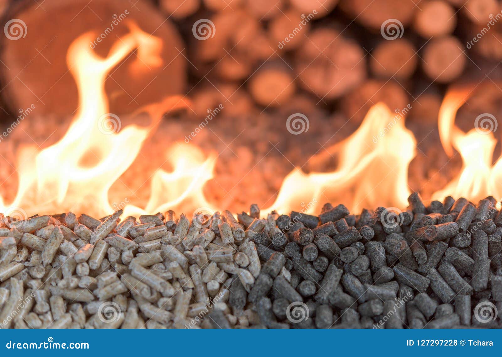 Two kind of wooden pellets stock photo. Image of object - 127297228