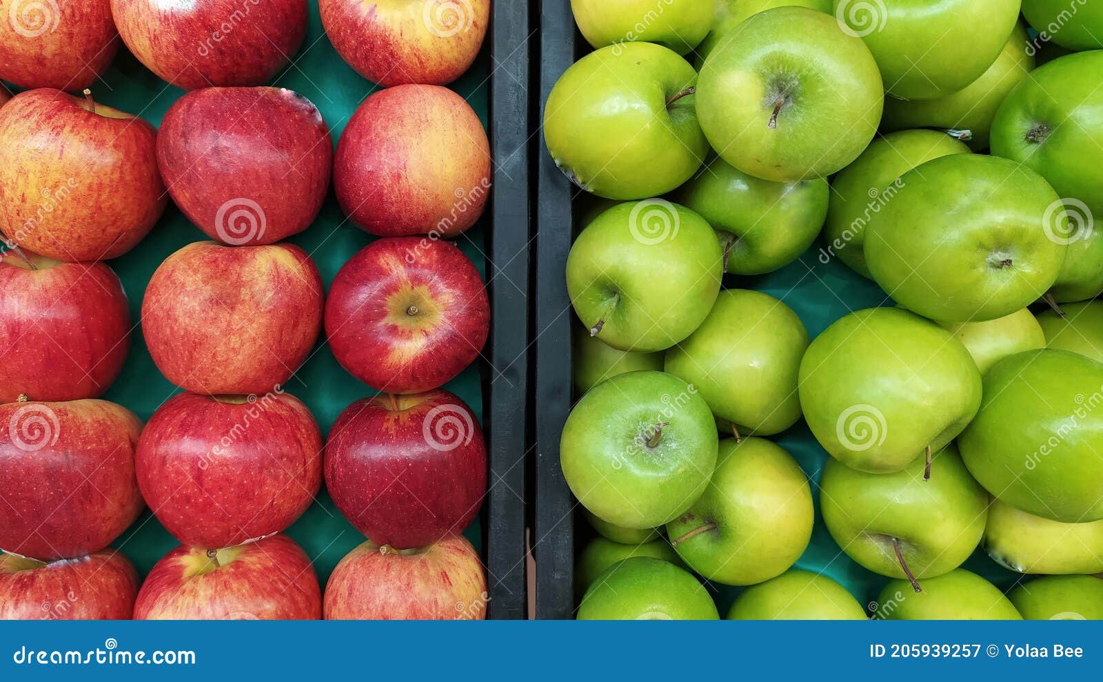 Tree Two Kinds Fruit Stock Photos - Free & Royalty-Free Stock Photos ...