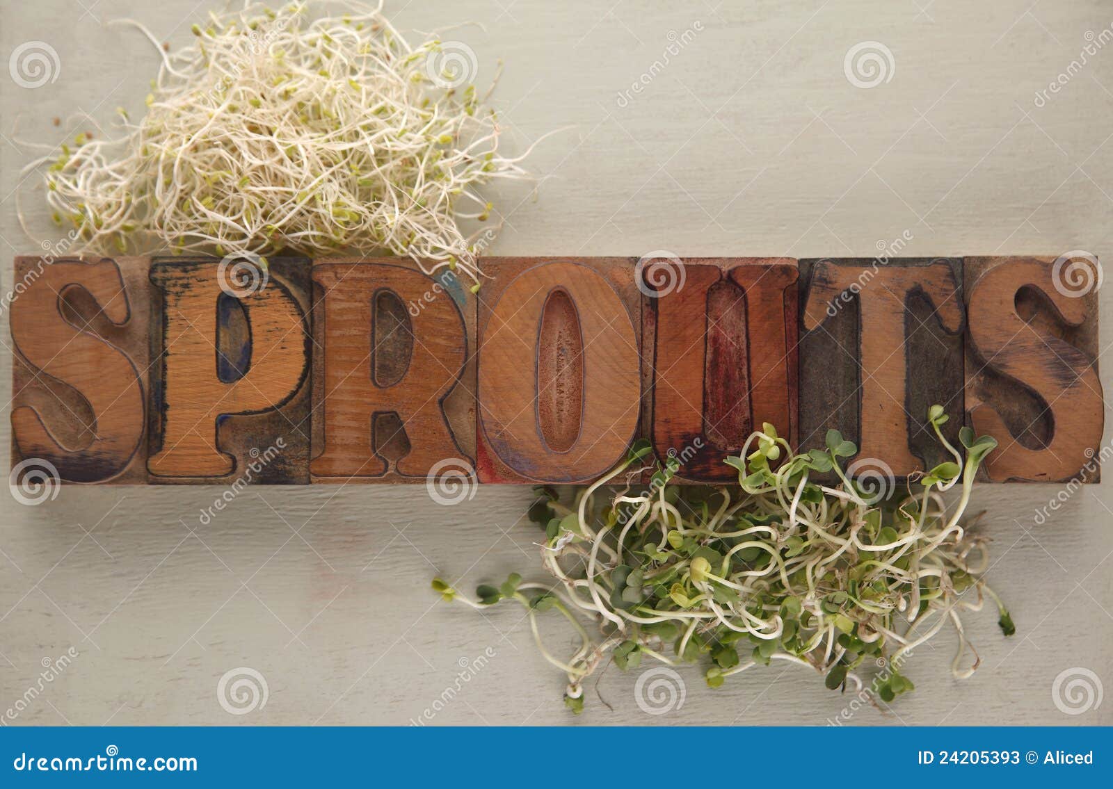 Two kinds of sprouts stock image. Image of letterpress - 24205393