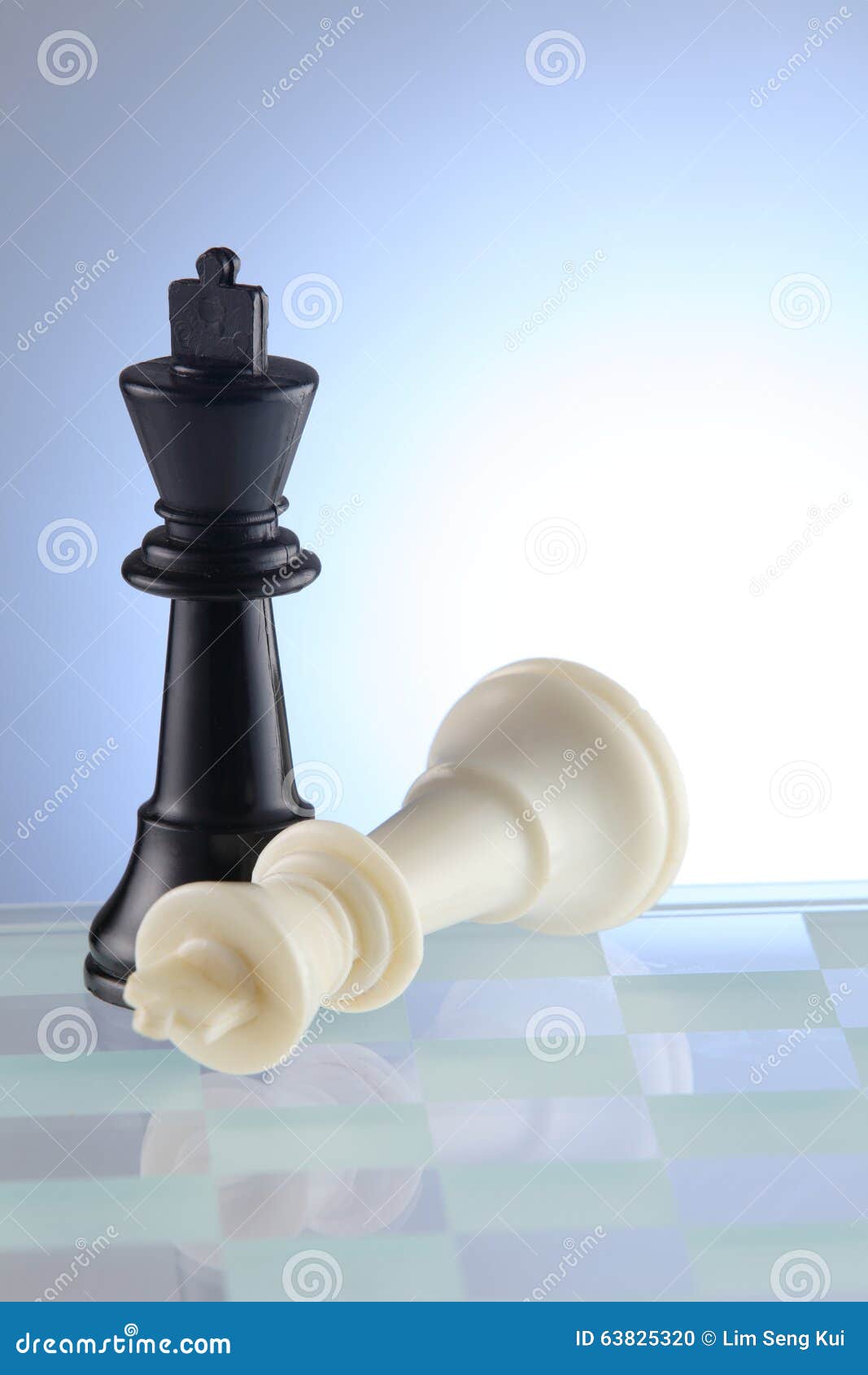 Two kings stock photo. Image of move, objects, strategic - 63825320
