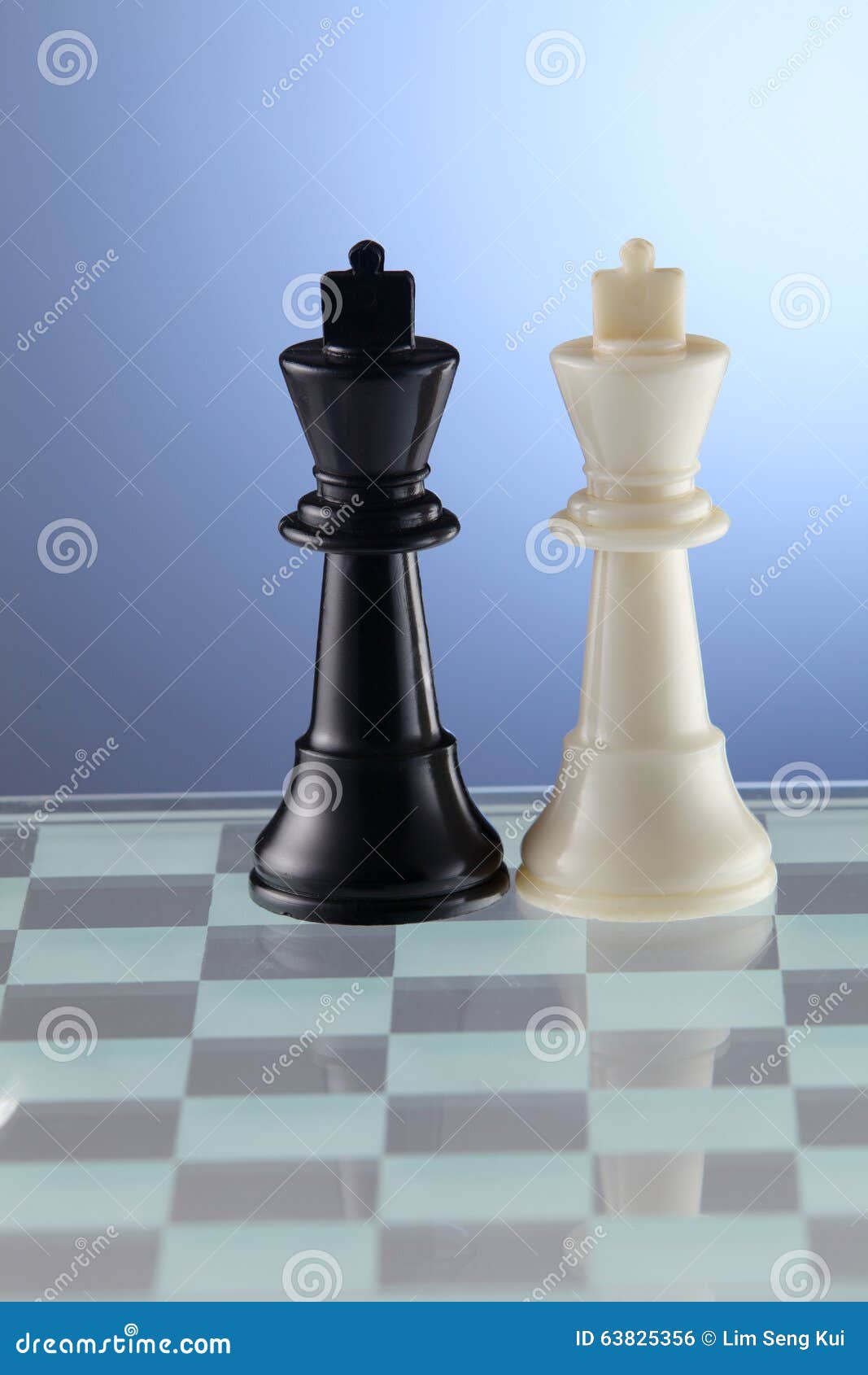 Two kings stock photo. Image of piece, decision, game - 63825356