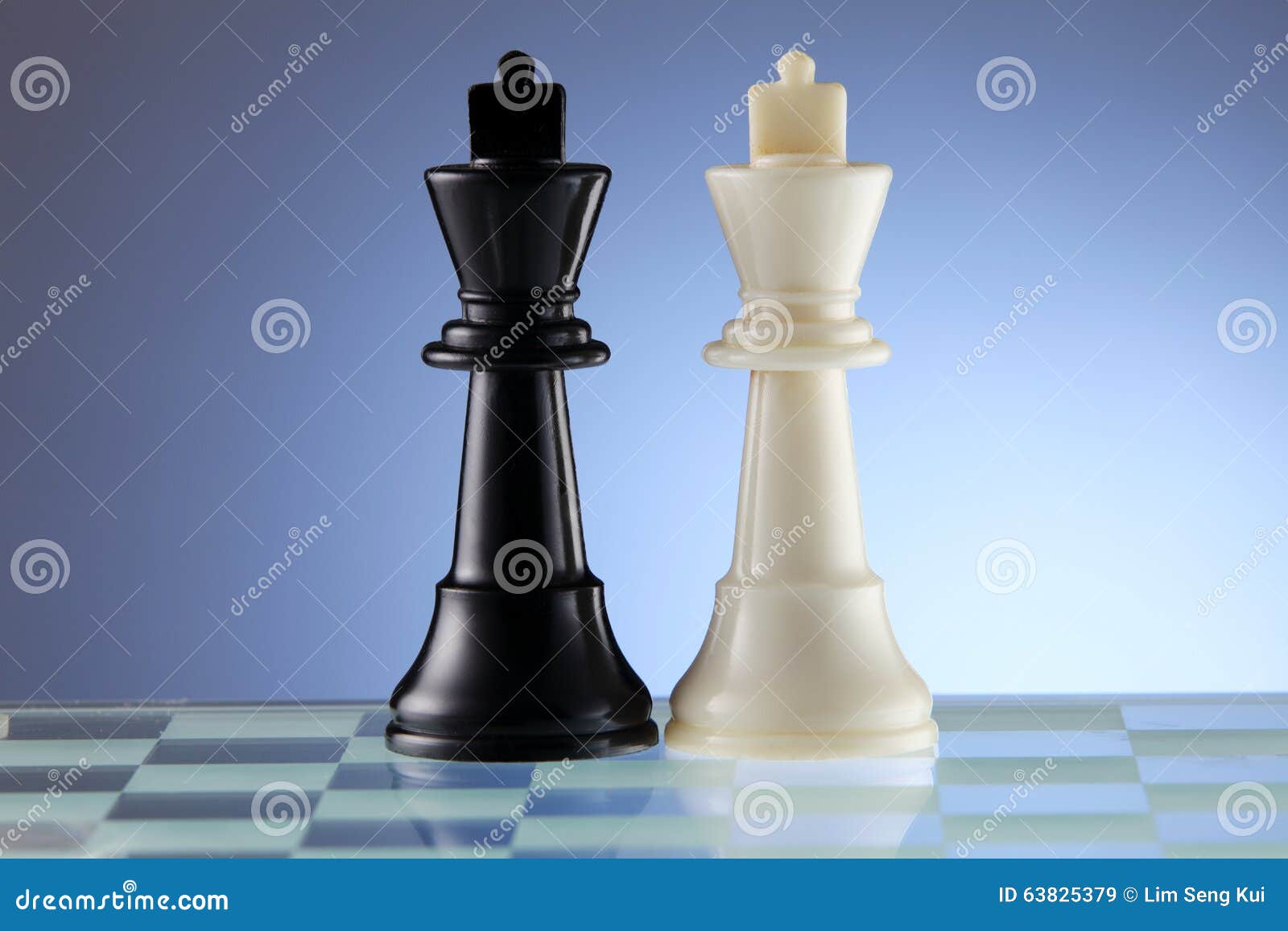 Two kings stock image. Image of objects, defeat, piece - 63825379