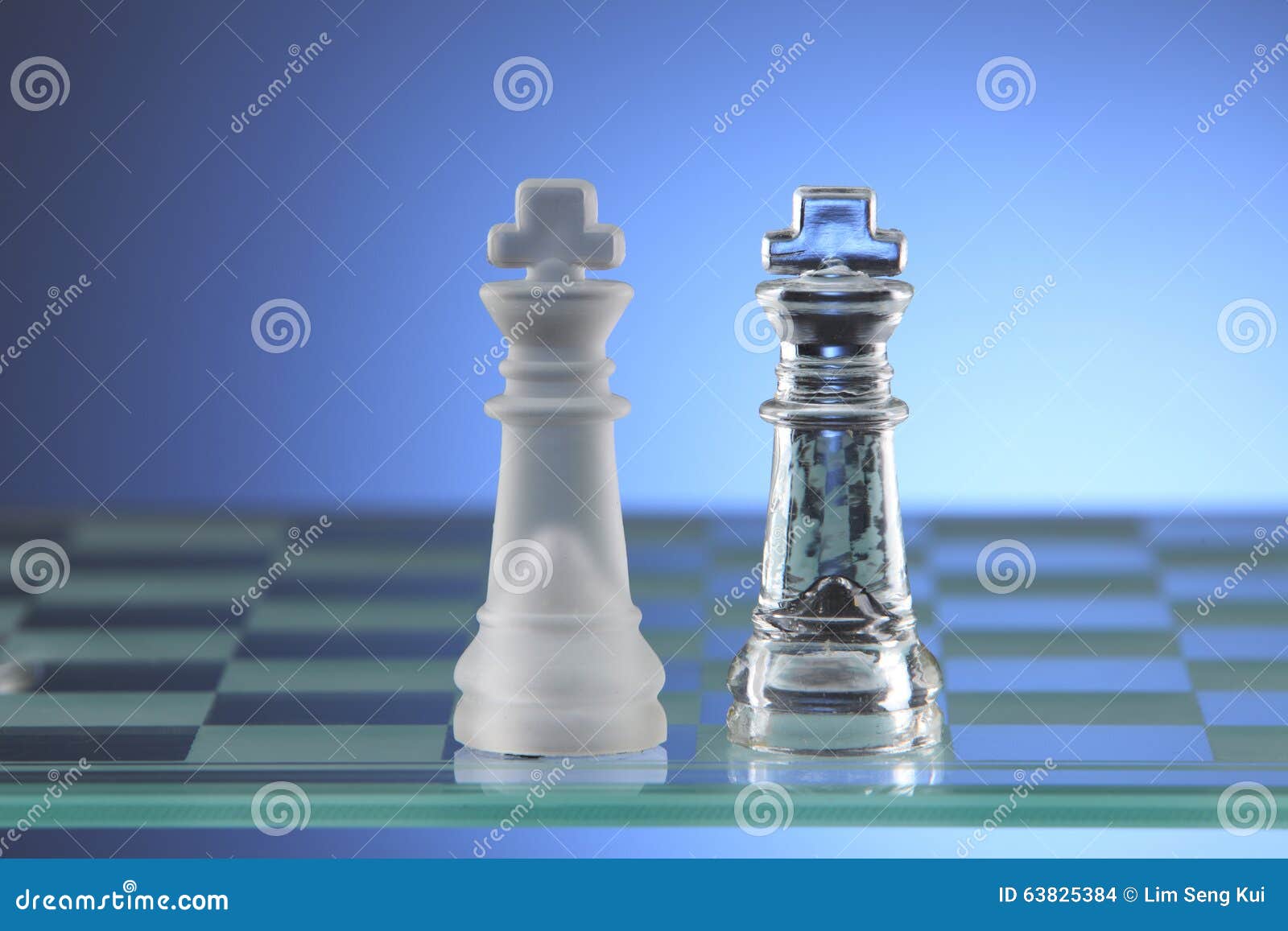 Two kings stock photo. Image of power, piece, challenge - 63825384